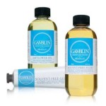 Solvent-Free Painting - Gamblin Artists Colors