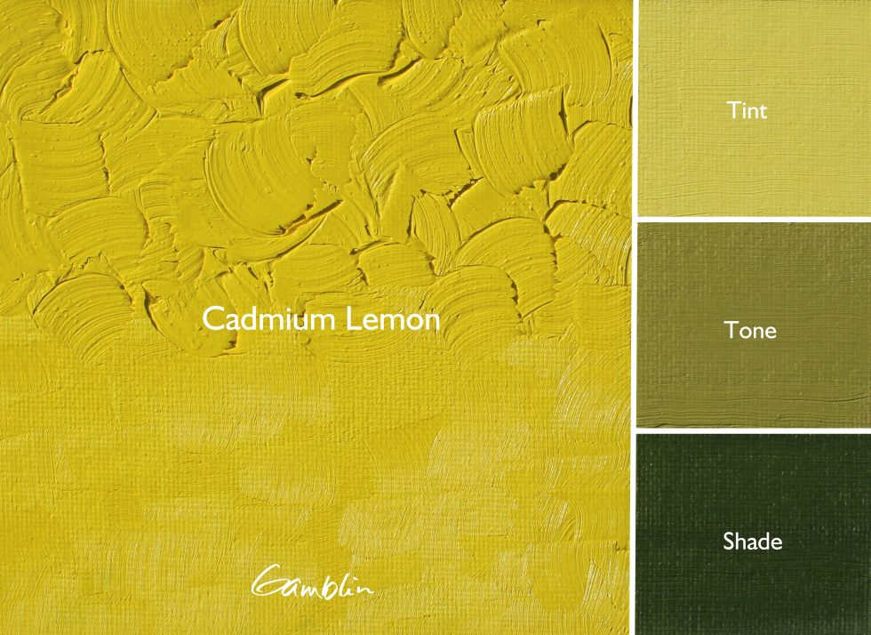 1980 Cadmium Lemon - Gamblin Artists Colors